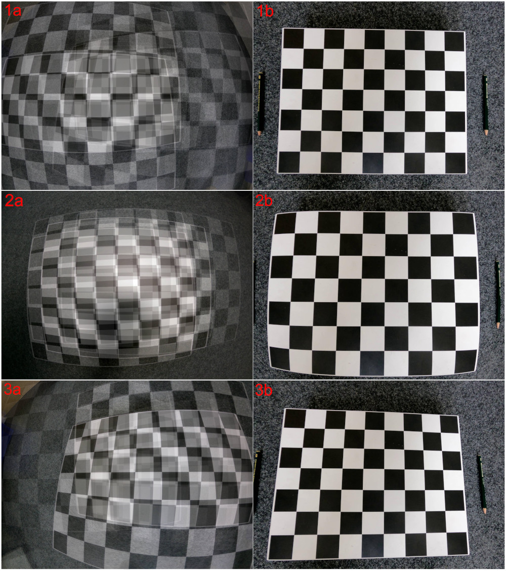 Performing the Intrinsic and Extrinsic Calibration — PeTrack 1.1.0 ...